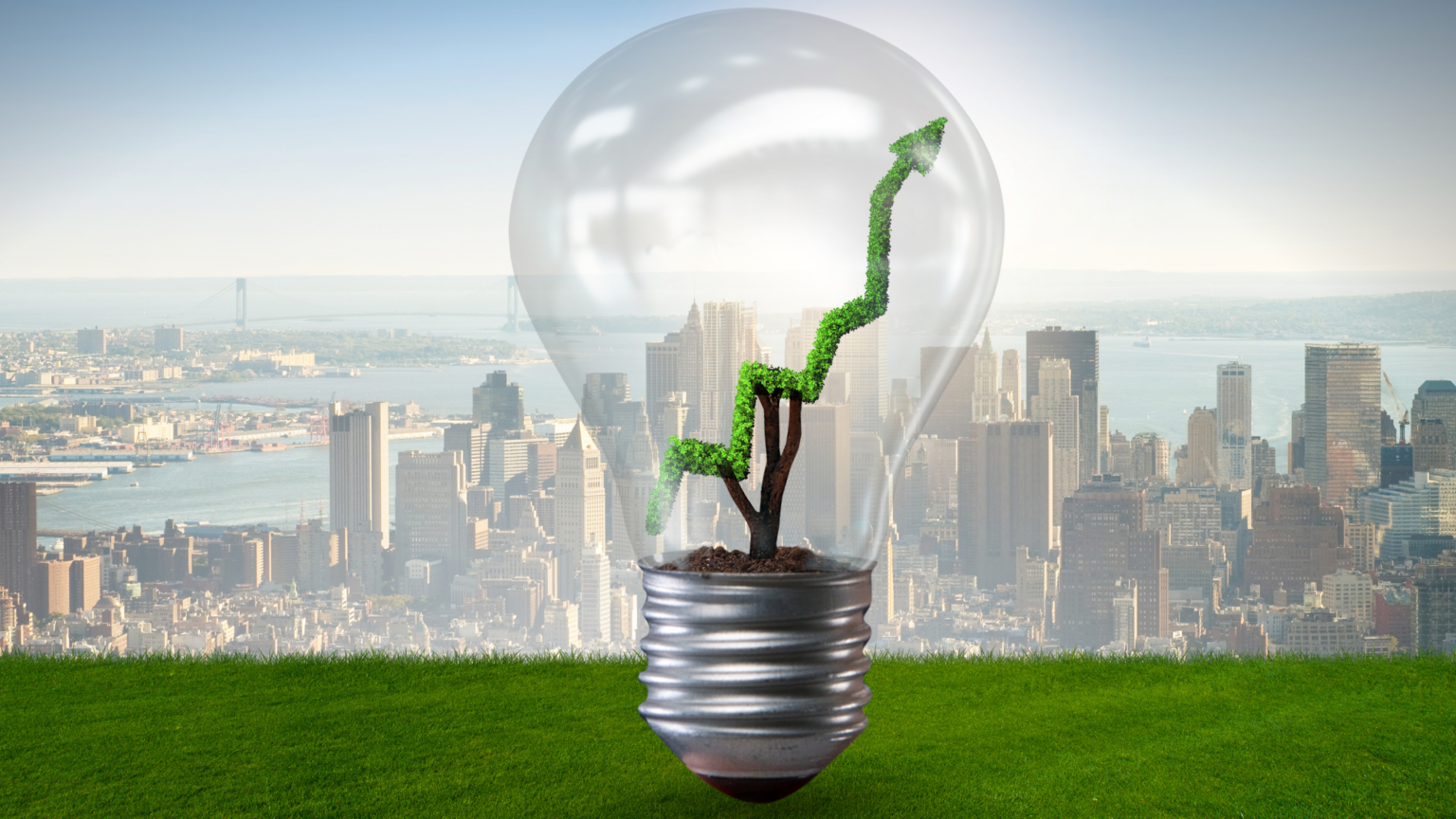 From Crude Oil to Finished Products: The Journey of Petroleum